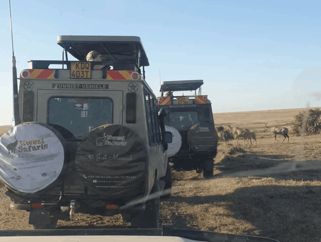 Best Wildlife Safaris In Africa - kwezisafaris